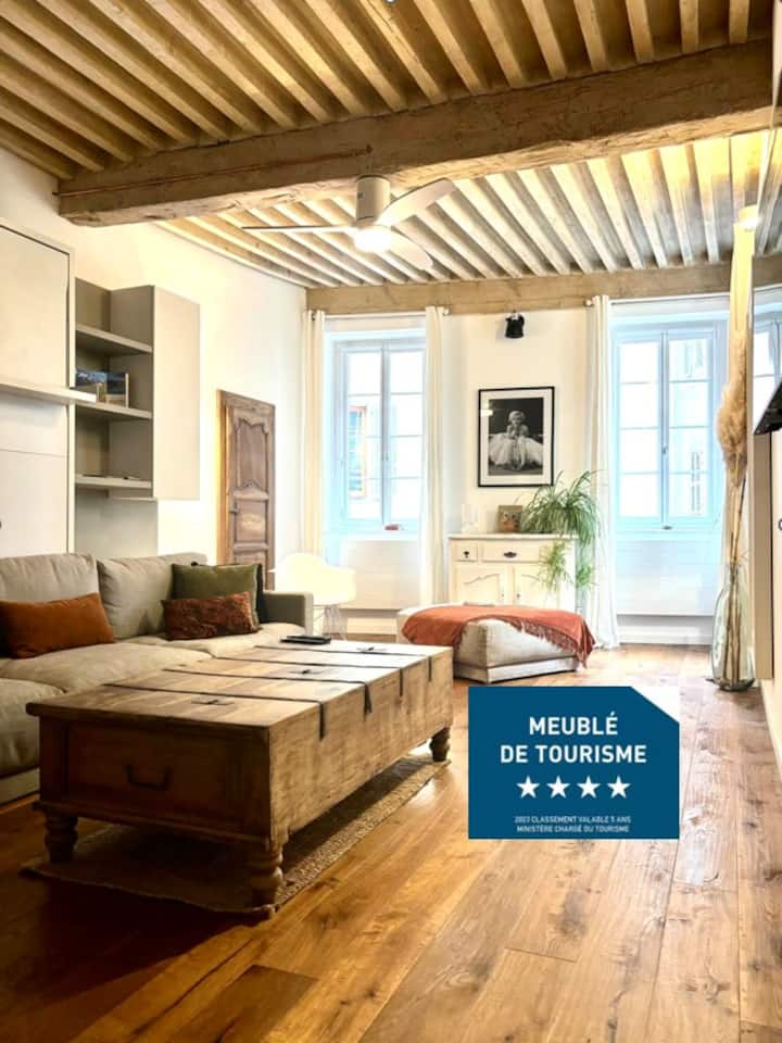 Appartement Classé 4* Au Cœur De La Vieille Ville - Lac d'Annecy