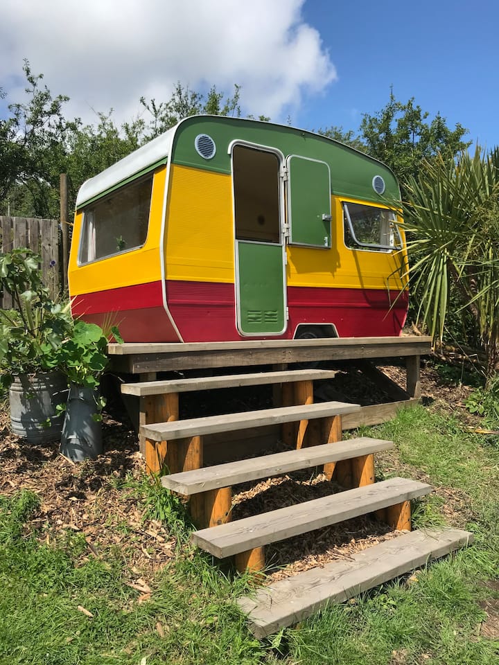 Bean - St Austell