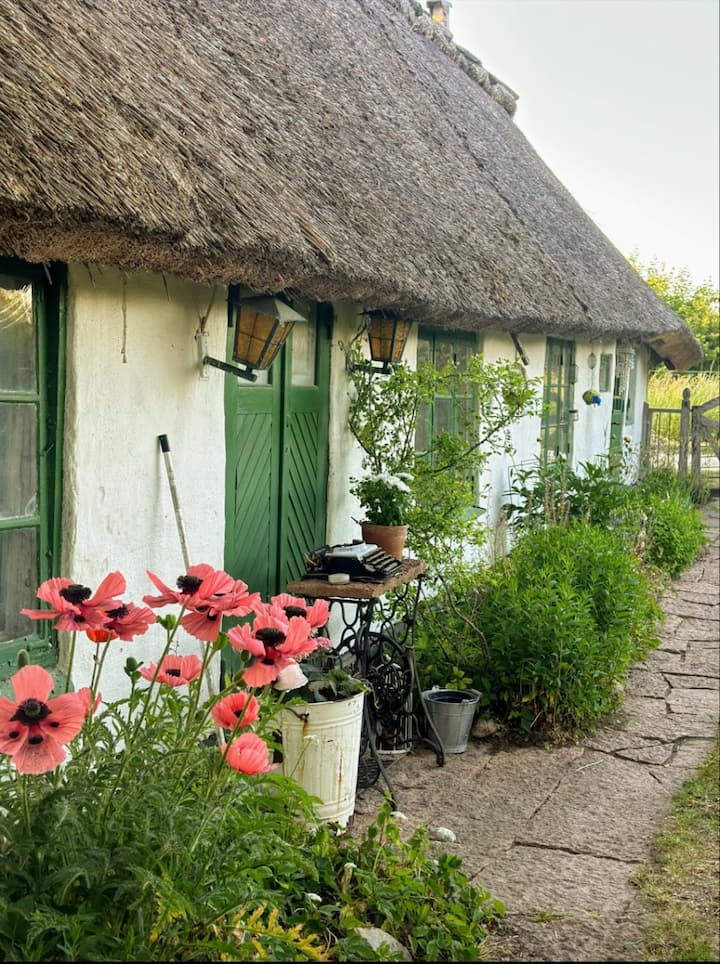 Mysig Skånelänga, Vasstak Bastu - Malmö