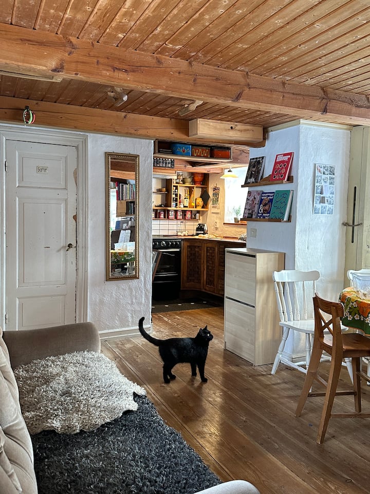 Mysig Skånelänga, Vasstak Och Bastu - Malmö