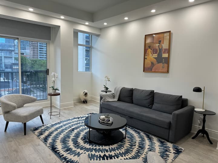 Gorgeous 2bdrm 2btrm Dt Suite - Toronto