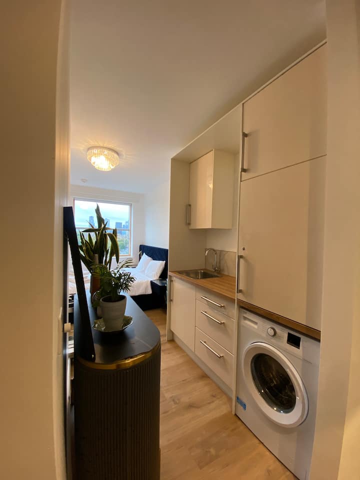 Studio Unit With  Panoramic View - London