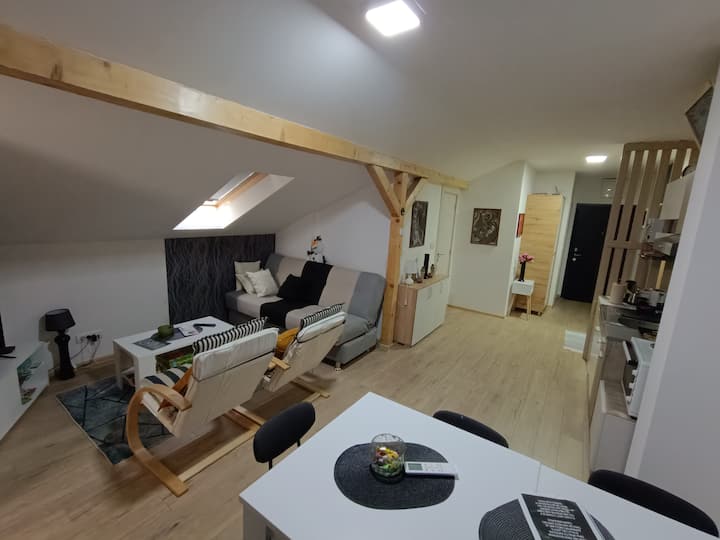 Apartmani S / Apartman C - Kraljevo