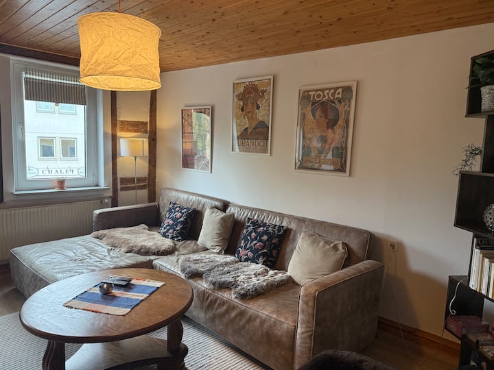 Große Wohnung Im Herzen Coburgs - Hildburghausen