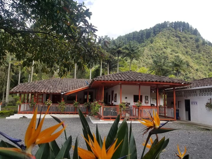 Habitación Familiar Río Arabia Cocora Baño Privado - Salento