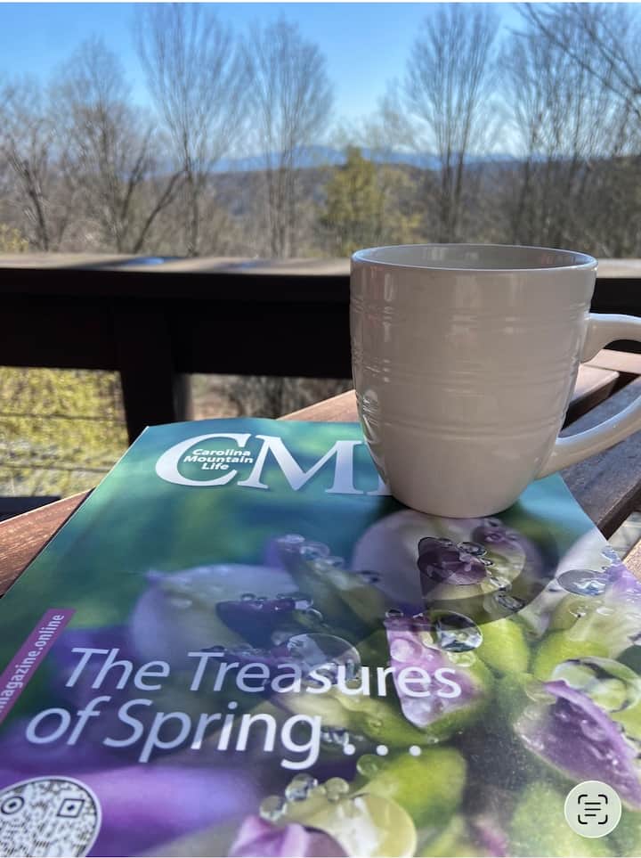 Entry Level 1br Condo! Walk To Slopes & Resort! - Beech Mountain, NC