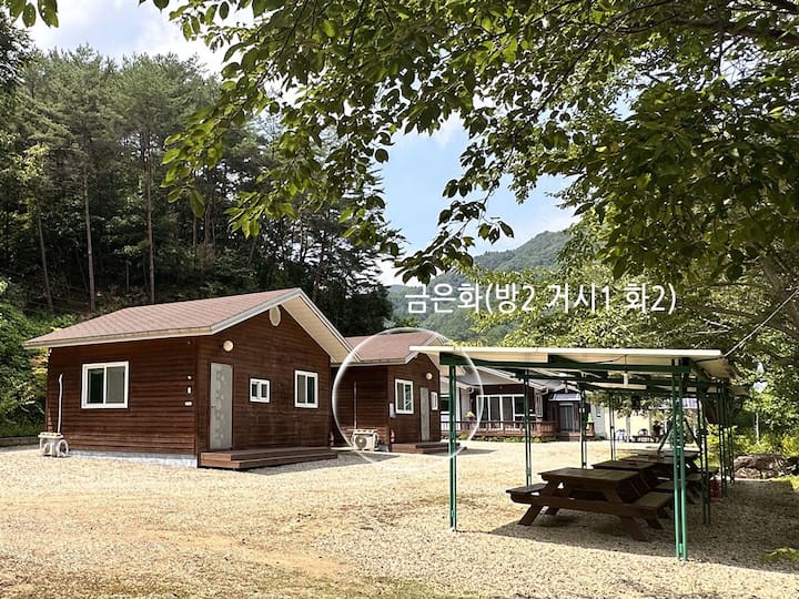 인제내린천숲속패밀리 - 양구군