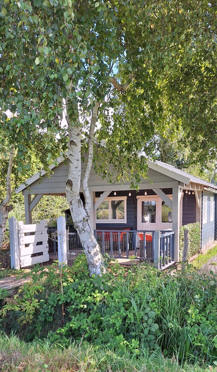 Freebird - Stadskanaal