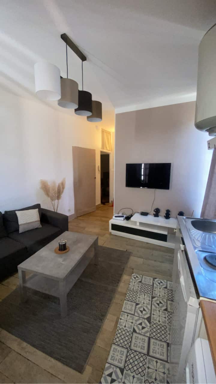 "Appartement Entre Gare Et Parc" - Chambéry