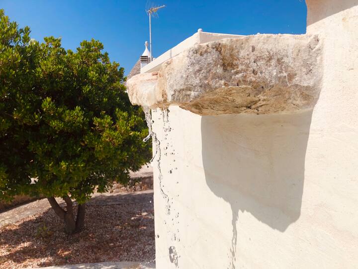 Trulli“coraggiosa”donna Carmela - Fasano
