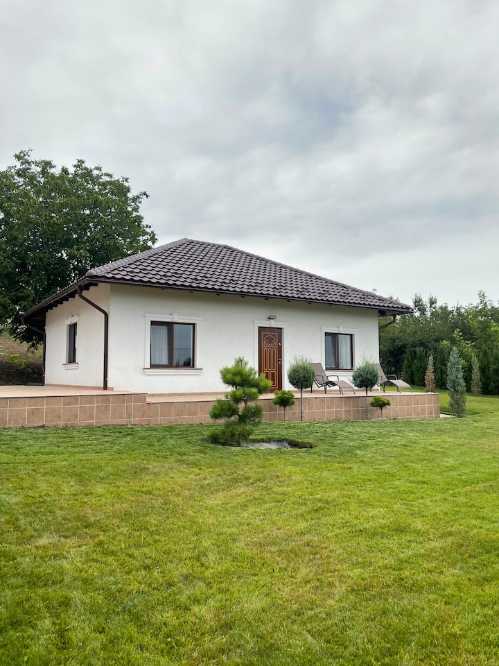 Cozy House Surrounded By Firs - Moldávia