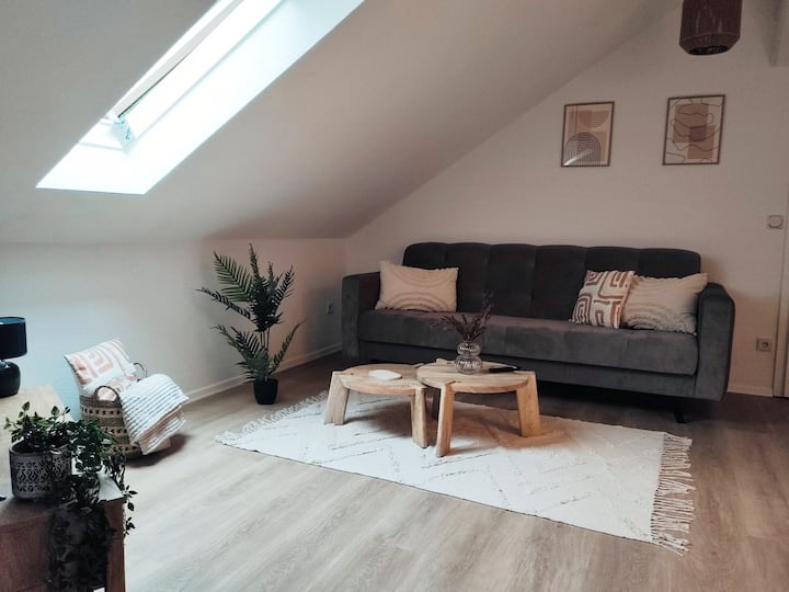 Stylische Altstadtwohnung - Netflix - Smart Tv - Erfurt