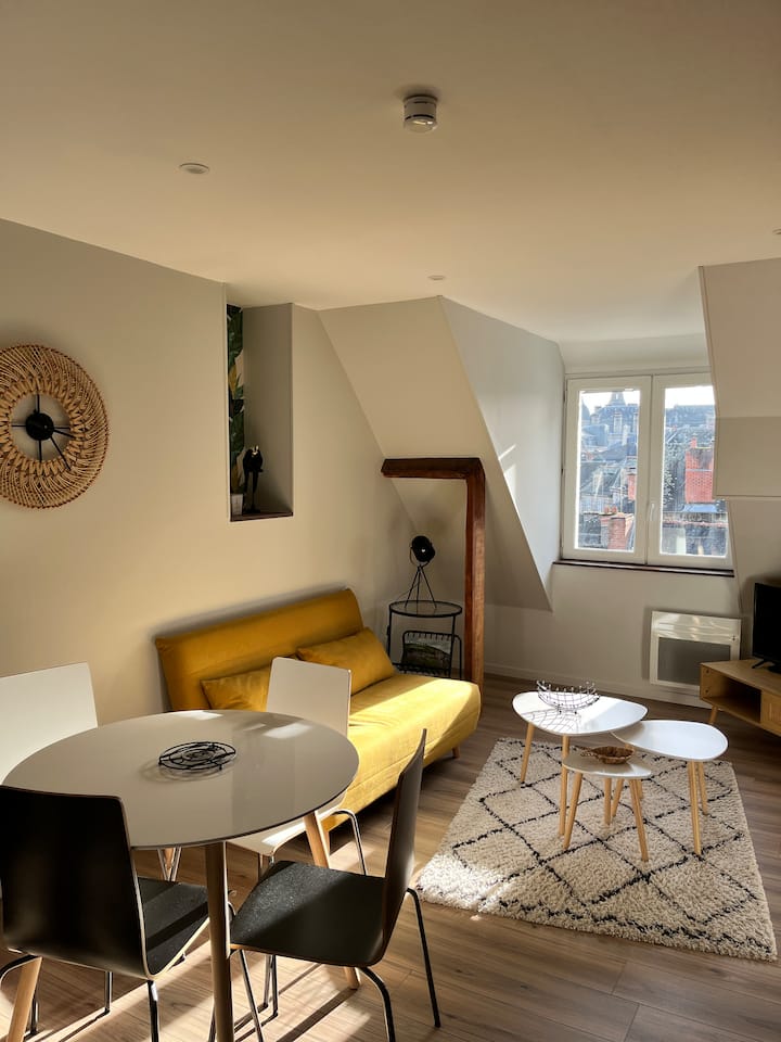 T2 Cœur De Brive - Brive-la-Gaillarde