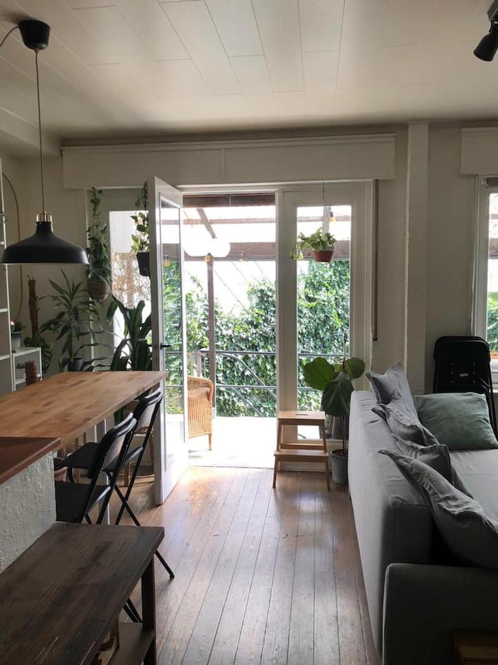 Studio Zeezucht - Brujas