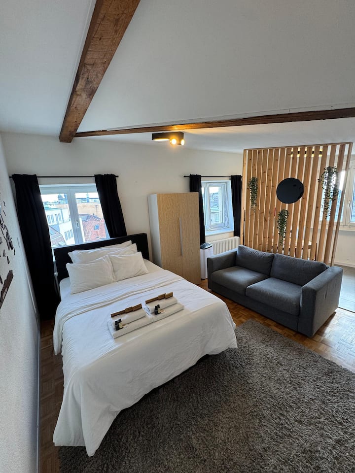 Cosy Attic Flat Lausanne Center (Ms) - Lausanne