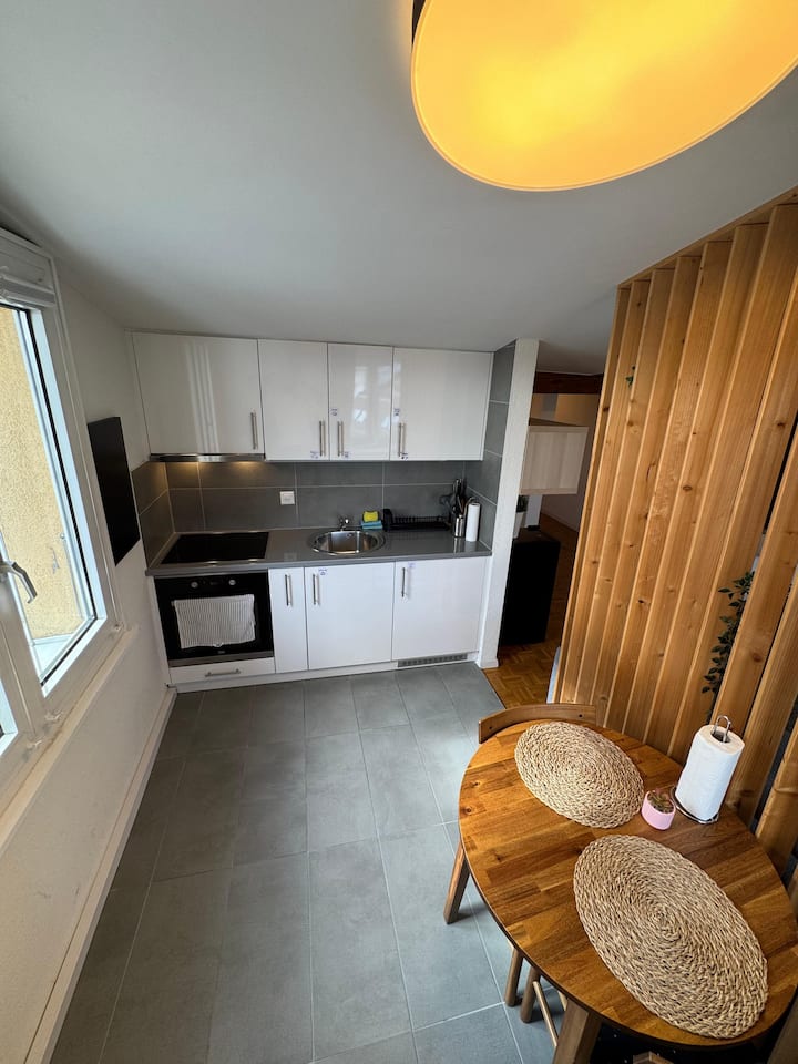 Cosy Attic Flat Lausanne Center (Ms) - Lausanne