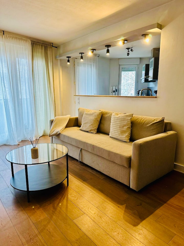 Grand Appartement Lumineux | Balcon | Proche Gare - ibis budget Lyon Villeurbanne