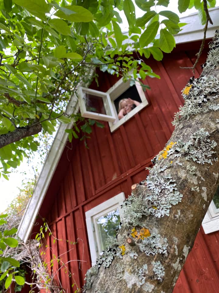 Stuga Nära Stranden På Böda - Öland