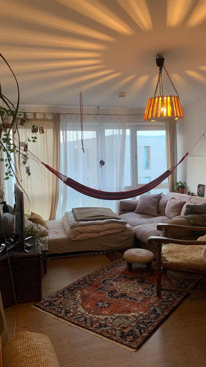 Helles 1 Zimmer Apartment - Münster