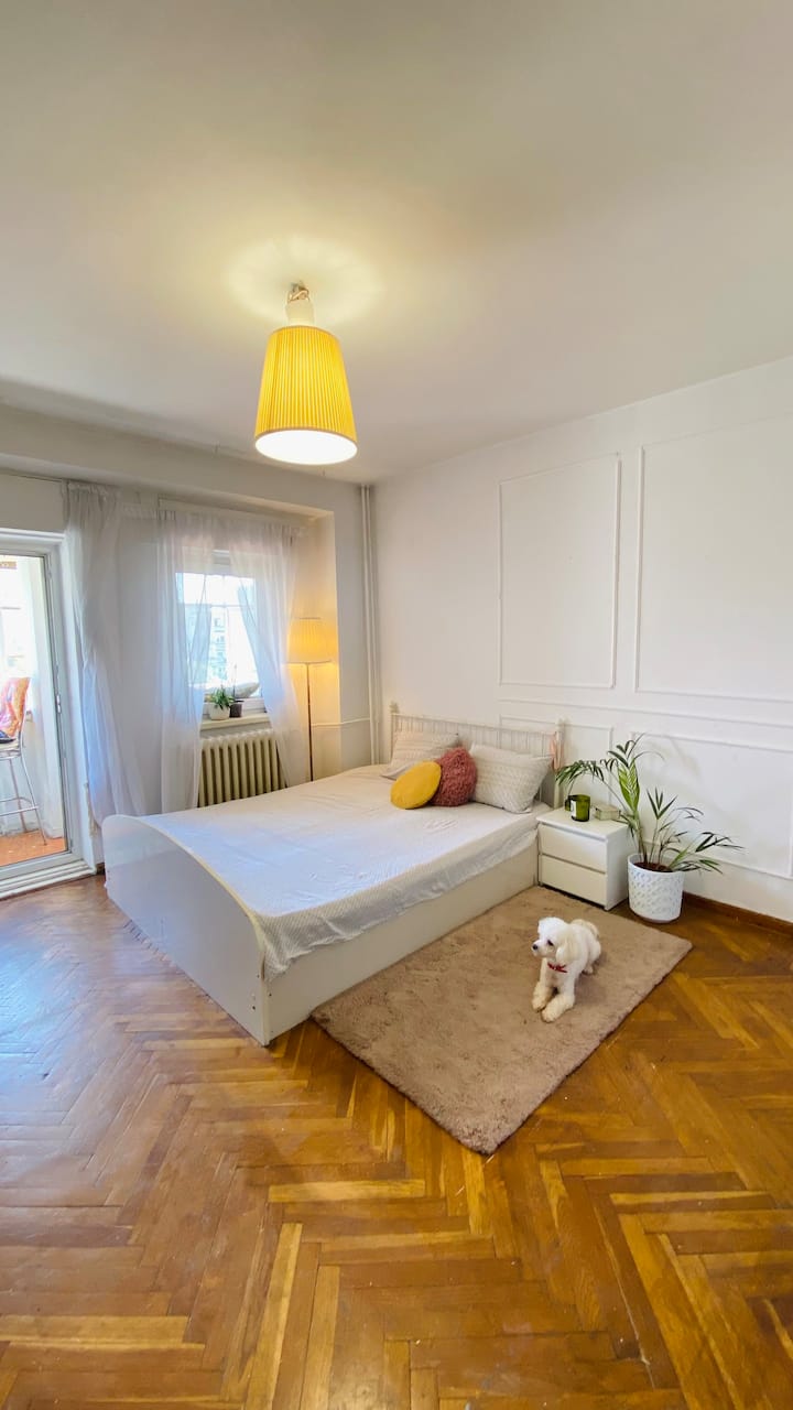 Cosy Vintage Room Pet-friendly Shared Apartament - Bukarest