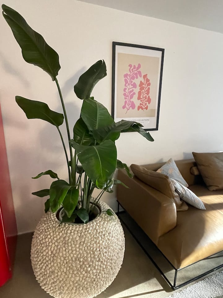 Rivao Appartement 2/4 - Düsseldorf