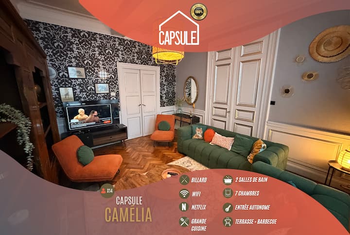 Camelia, Un Charme Montois - Mons