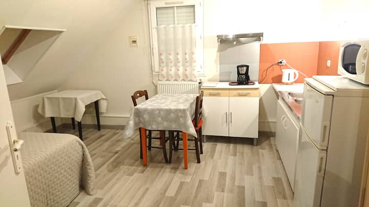 Chambre De 21 M2 Dans Maison - Saran