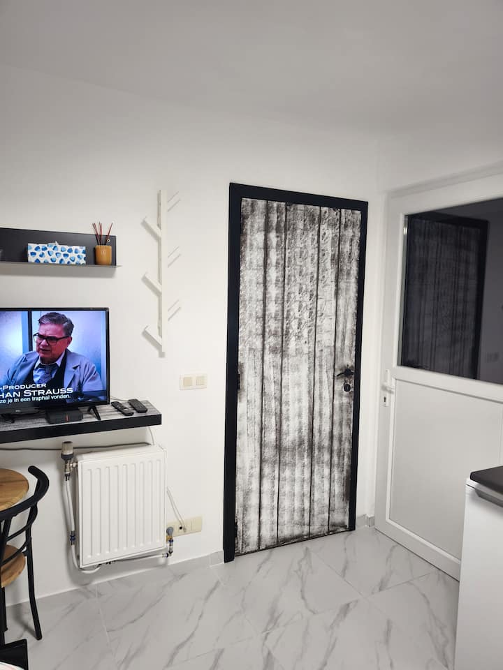 Modern Lux Studio 2. - Ham