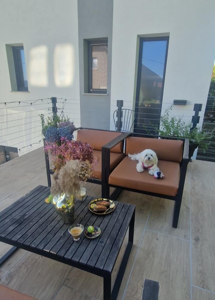 Appartment Danica - Čatež ob Savi