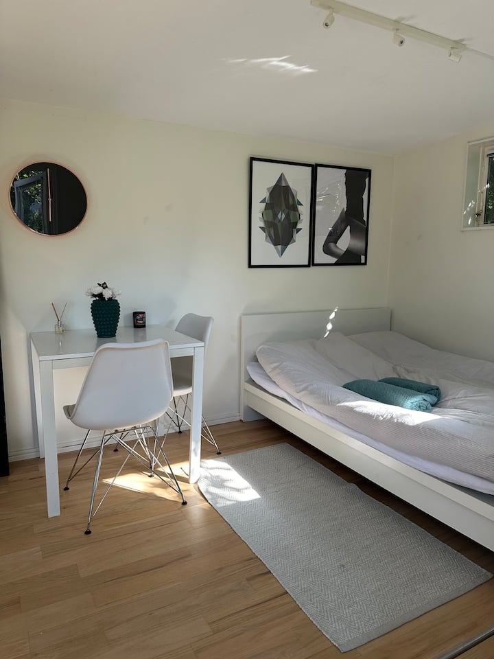 Uthyrning Av Studio/gästhus - Malmö