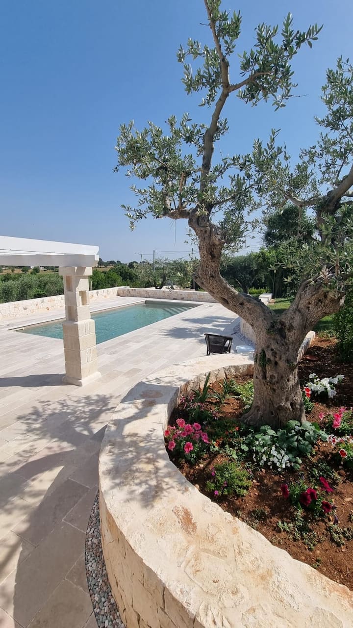 Casa Vacanza Cosimo, Relax E Benessere. - Locorotondo