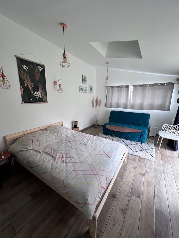 Chambre Studio 2 Personnes Proche Disney - Saint-Thibault-des-Vignes