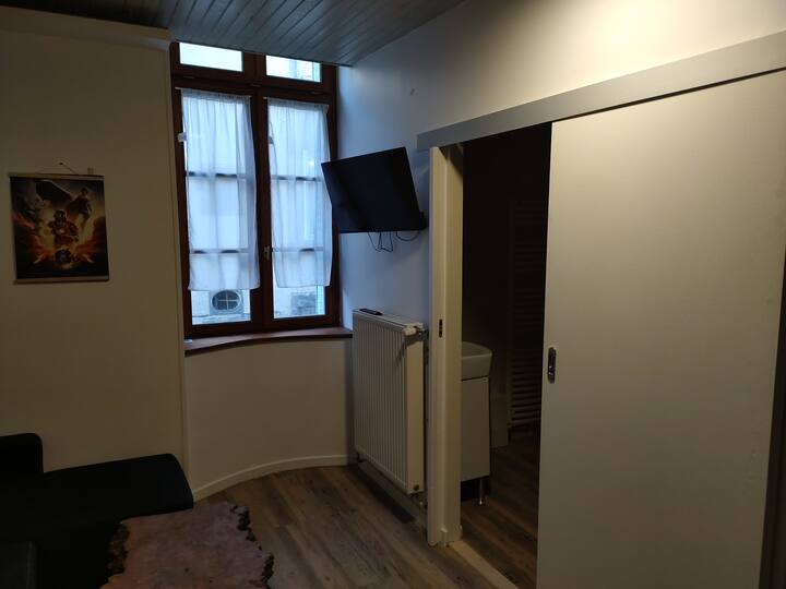 Multiplexe En Duplex En Centre Riom - Riom
