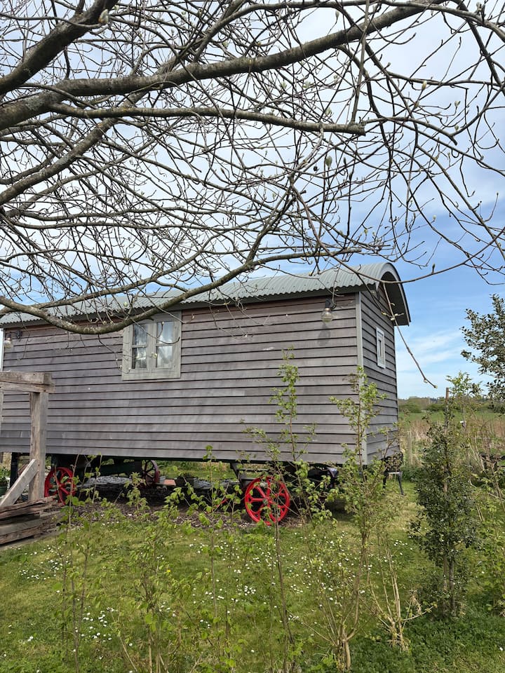 New!  Shepherd Hut At Goodwood! - Chichester