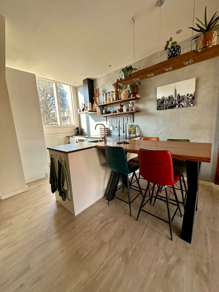 Cozy Apartment Near City Centre - 위트레흐트