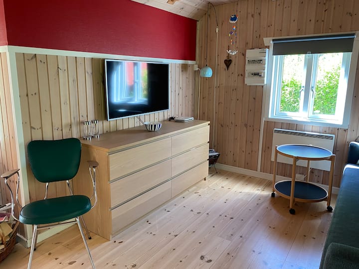 Sødt Og Hyggeligt Lille Sommerhus Tæt På Strand - Denmark