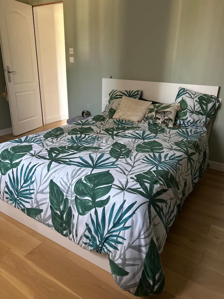 Chambre Confortable Dans Maison - Vichy