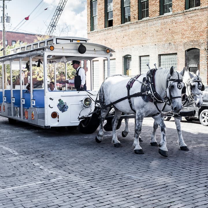 Tree Hill Bridge - Parking, Walkable, Wedding Stay - Wilmington, NC