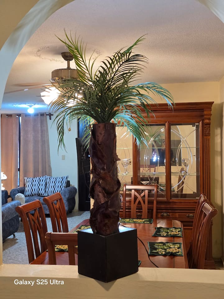 Tampico-madero - Tampico, Mexico