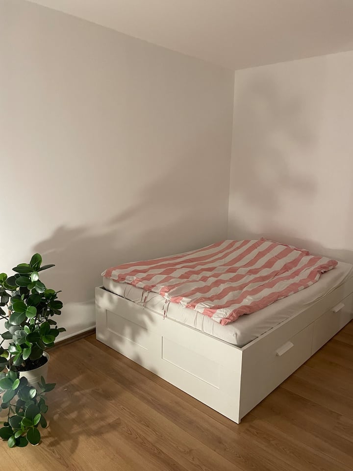 Schönes Zimmer Am Hansaring - Colonia