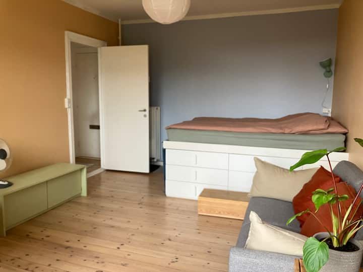 Charmerende Og Lys Lejlighed Med Naturskøn Udsigt - Copenhagen