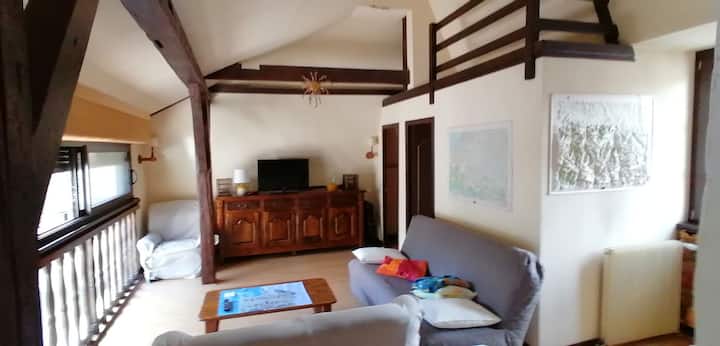 Appartement Spacieux Situé En Centre Bourg - Laruns