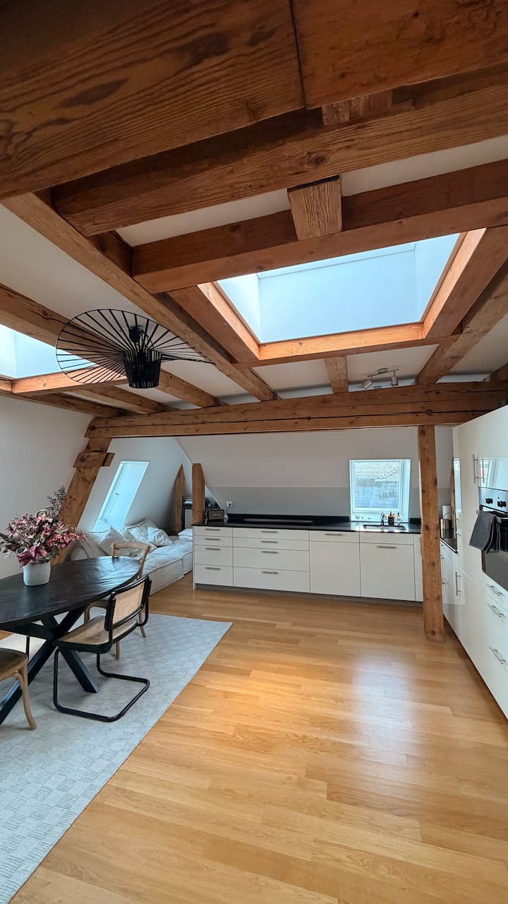 Modern Design Rooftop Apartment - Zürich