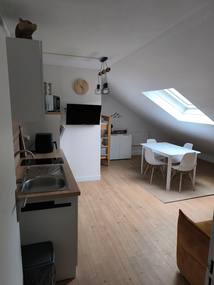 Studio 4 Personnes Pied Des Pistes Pyrénées 2000 - Bolquère