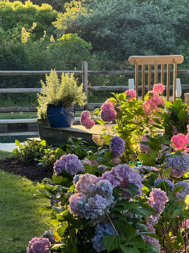 Surfside Heaven (W/ Pool In The Summer) - Nantucket, MA