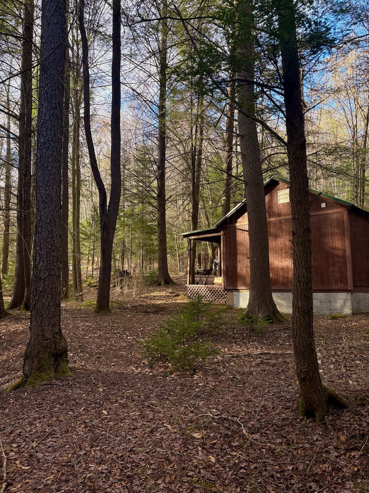 Glady Hideaway - West Virginia