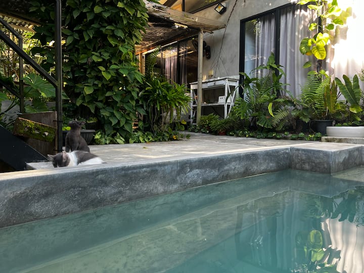 Daze In Nature 123+6 | Balik Pulau | Penang - Penang