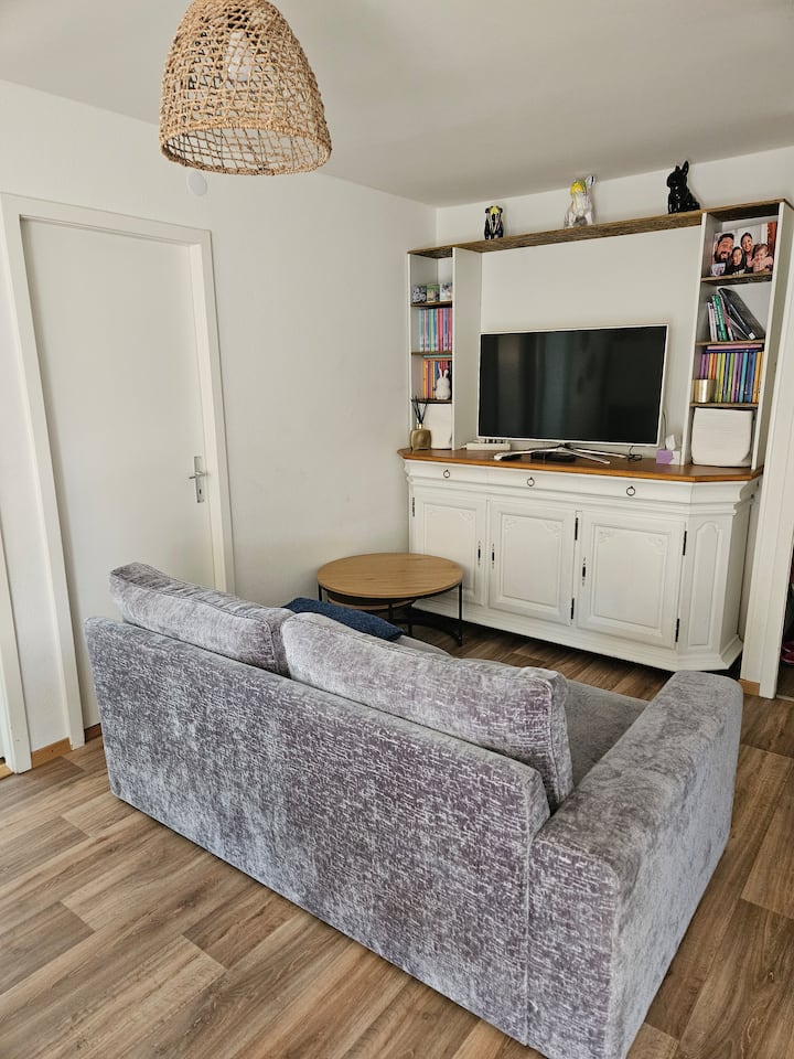 Appartement Entier Avec Grande Terrasse - Lausanne