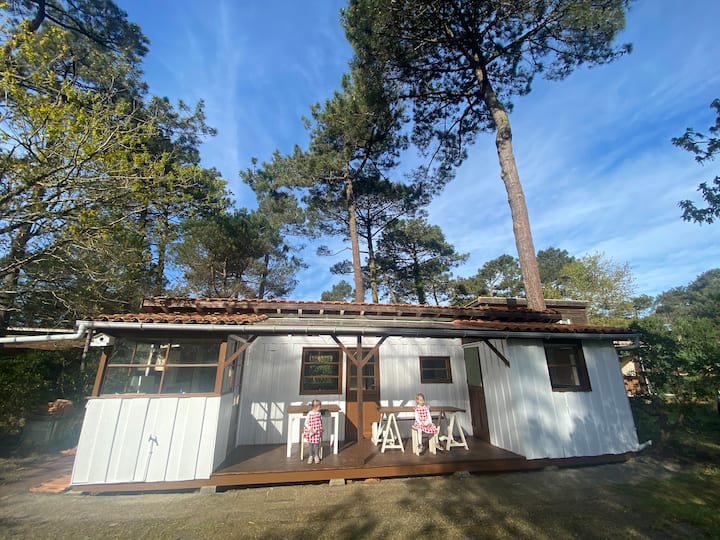 Chalet Paisible Détente Assurez - Vendays-Montalivet