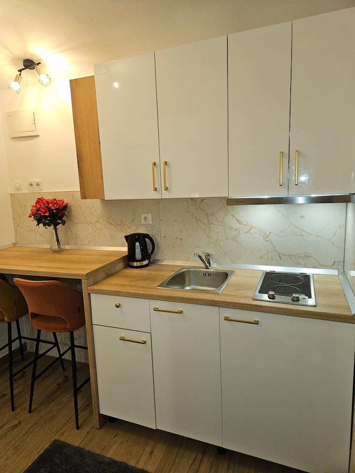 Maja - Centar Zagreb - Zagreb